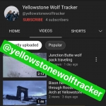 Yellowstone Reports